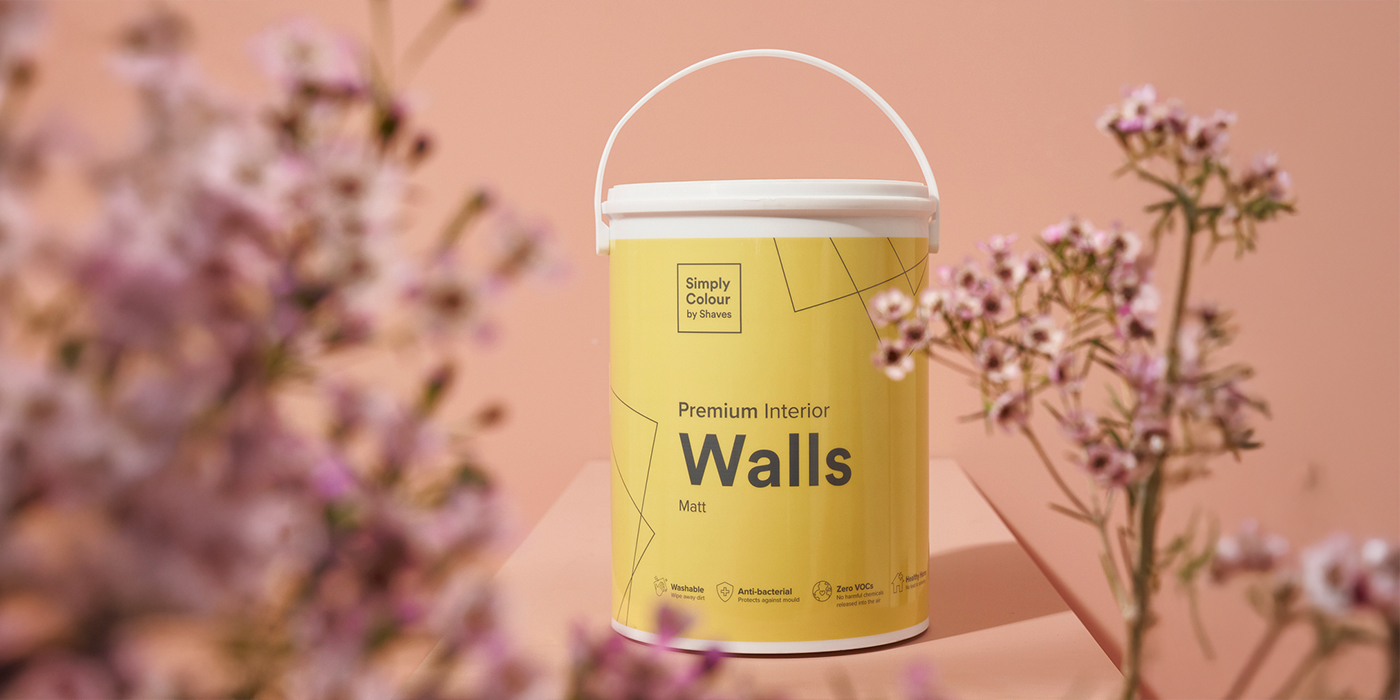 Water-Based vs Solvent-Based Paint: What’s the Difference?